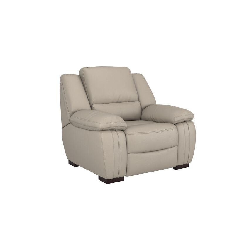 ScS Living Grey Fallon Leather Standard Chair by SCS | ufurnish.com