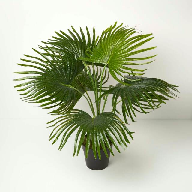 Homescapes Artificial Fan Palm Tree in Pot, 80 cm Tall by Tesco ...