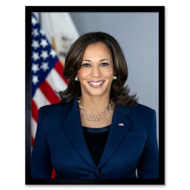Us Vice President Kamala Harris United States America Framed Wall Art ...