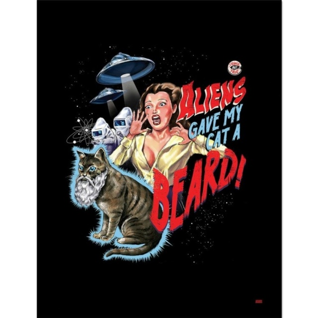 Steven Rhodes (Cat-A-Beard_Revised) Framed 30X40Cm Print by Tesco ...