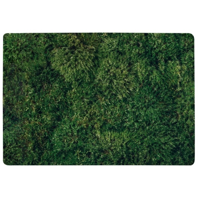 Natural Green Moss (Rug) Green - M by Tesco - Marketplace | ufurnish.com