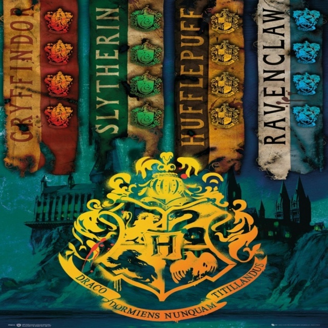 Harry Potter House Flags 61 X 91.5Cm Maxi Poster by Tesco - Marketplace ...