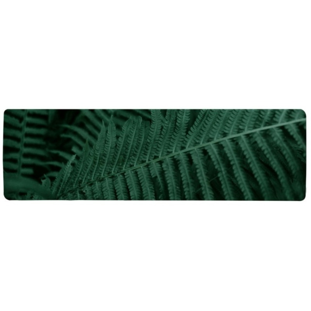 Deep Green Fern Leaves Texture. Fern In The Forest. Plants Background ...