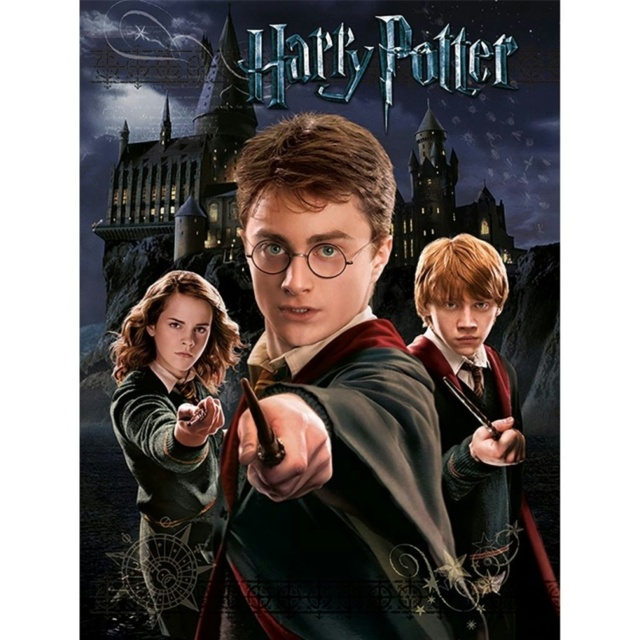Harry Potter (Harry Ron Hermione) 60X80X4Cm Stretched Canvas Print by ...