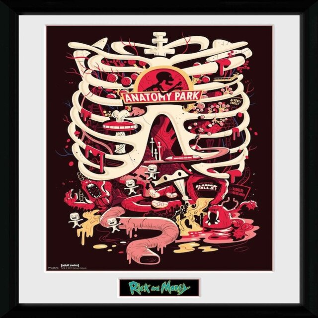 Rick & Morty Anatomy Park 30 X 40Cm Framed Collector Print by Tesco ...