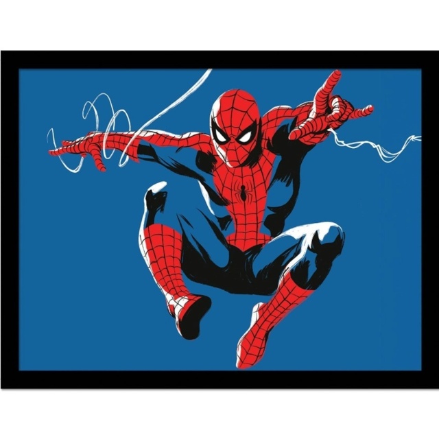 Spider-Man (Web Lines Landscape) Framed 30X40Cm Print by Tesco ...