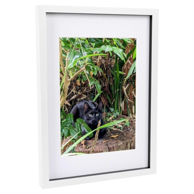 Nicola Spring 3D Box Photo Frame With A4 Mount - A3 (12'' X 17 ...