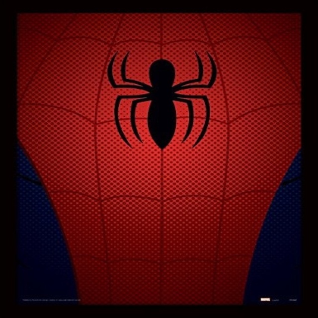 Ultimate Spider-Man (Spider-Man Torso) - Memorabilia Range - Fp11196P ...