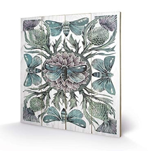Amanda Colville (Moths & Thistles) - Wood Panel by Tesco - Marketplace ...
