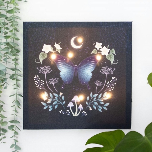 Midnight Moth Light Up Canvas Plaque - 30Cm by Tesco - Marketplace ...