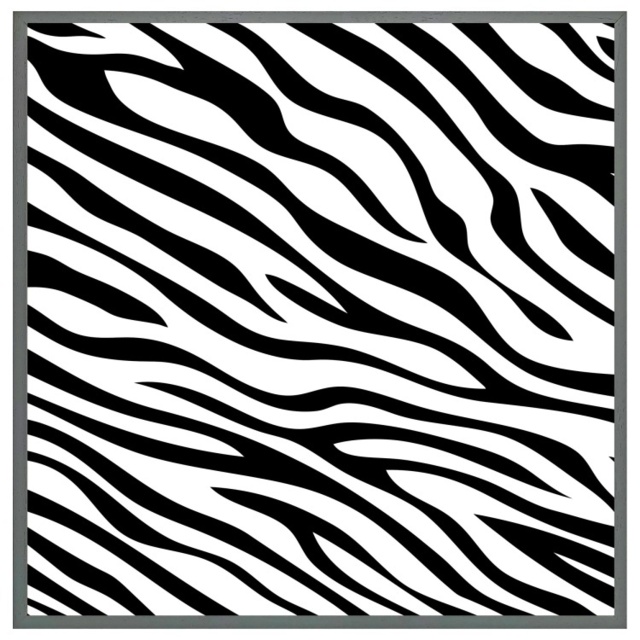 Zebra Print (Picture Frame) Grey - M by Tesco - Marketplace | ufurnish.com