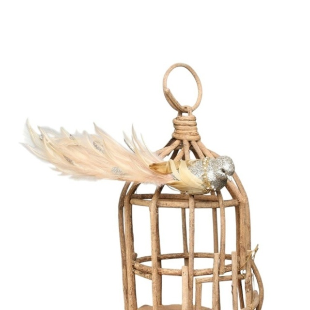 Decorative Gold Lyre Bird With Clip - 30Cm by Tesco - Marketplace ...