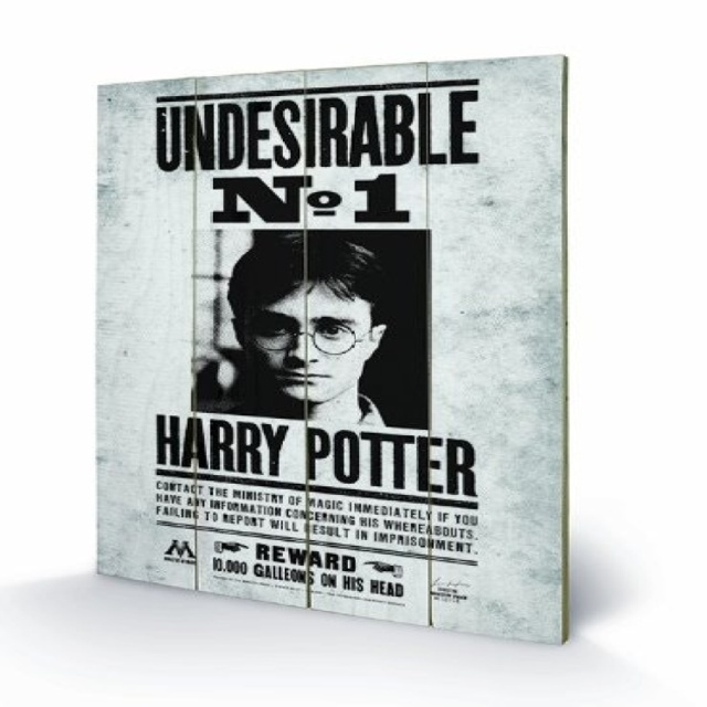 Harry Potter (Undesirable No1) - Wood Panel by Tesco - Marketplace ...