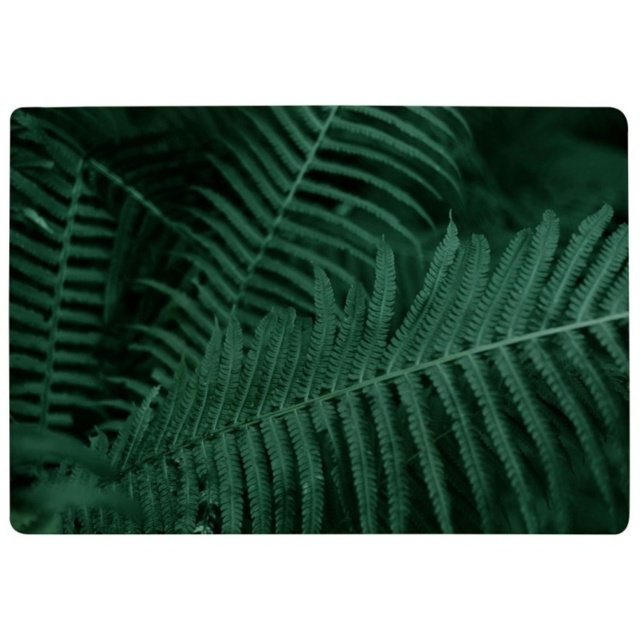 Deep Green Fern Leaves Texture. Fern In The Forest. Plants Background ...