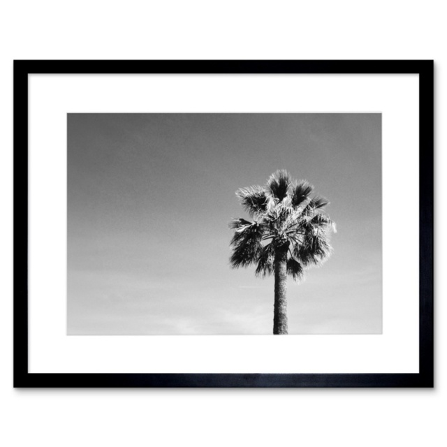 "Palm Tree Summer Sky Black White Photograph 9X7"" Black Framed Wall ...
