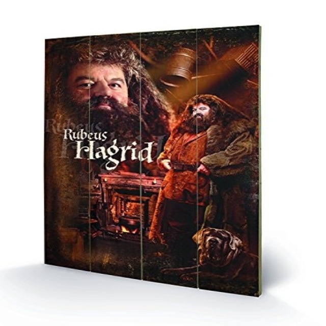 Harry Potter (Hagrid) - Wood Panel by Tesco - Marketplace | ufurnish.com