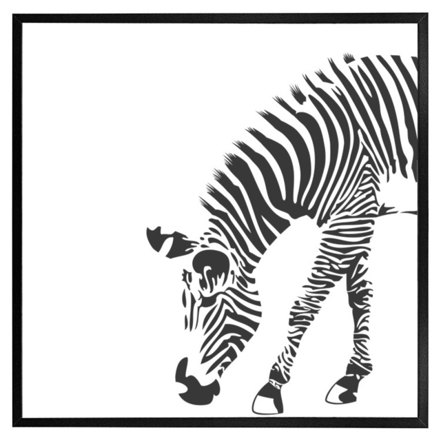 Zebra (Picture Frame) Black - S by Tesco - Marketplace | ufurnish.com