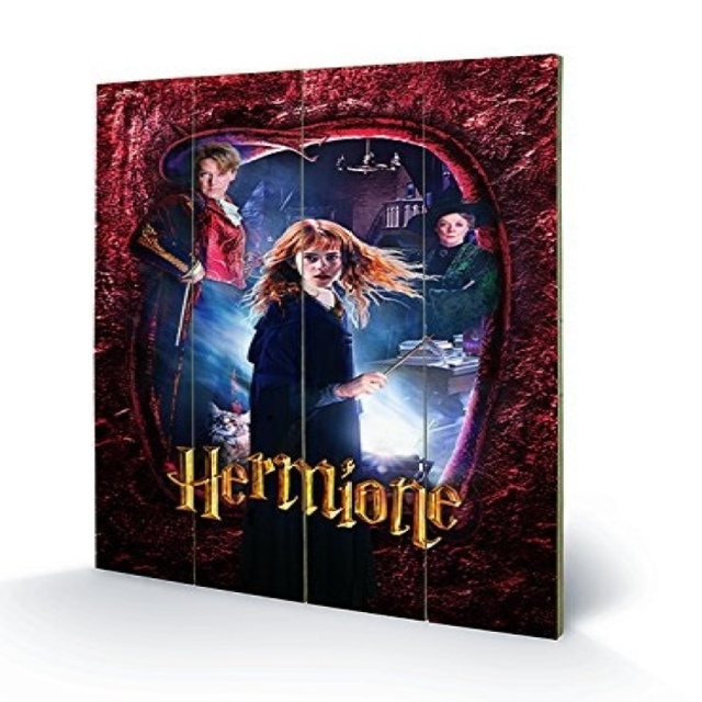 Harry Potter (Hermione) - Wood Panel by Tesco - Marketplace | ufurnish.com