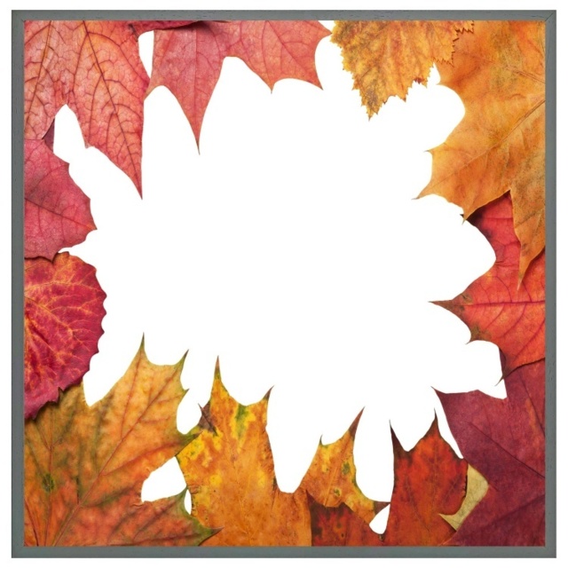 Red Autumn Border (Picture Frame) Grey - Xs by Tesco - Marketplace ...