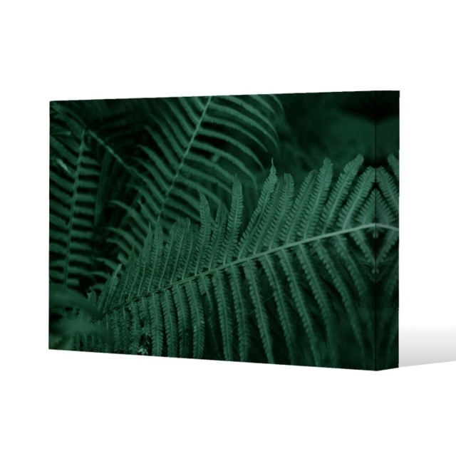 Plants Background. Biophilia Trend (Canvas Print) 61 X 41 X 4Cm by ...