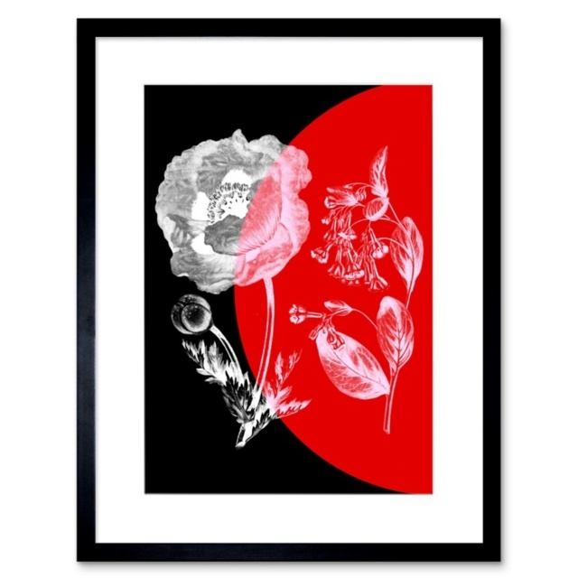 "Red Colour Pop Circle Flower Modern Botanical Design 9X7"" Black ...