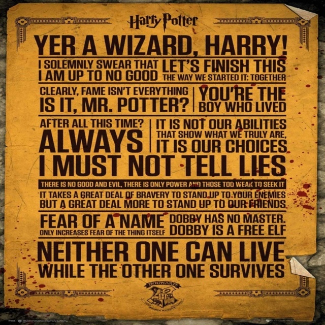 Harry Potter Poster Quotes 61 X 91.5Cm Maxi Poster by Tesco ...