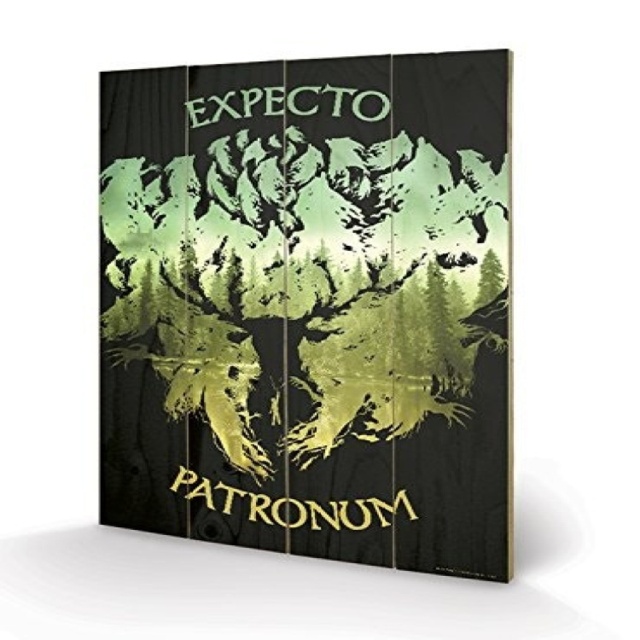 Harry Potter (Expecto Patronum) Small Wood - Wood Panel by Tesco ...