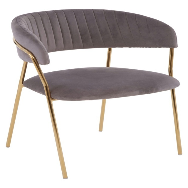 Interiors By Premier Soft Mink Velvet Dining Chair, Modern Dining ...