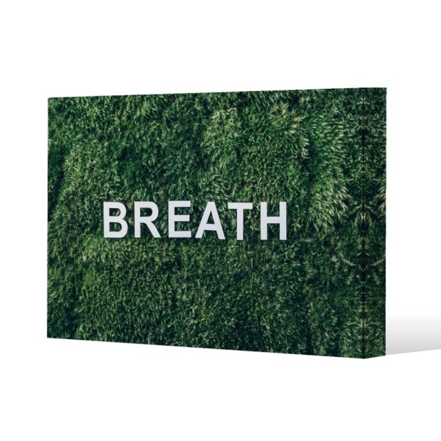 Wellness Breath (Canvas Print) 31 X 41 X 4Cm by Tesco - Marketplace ...