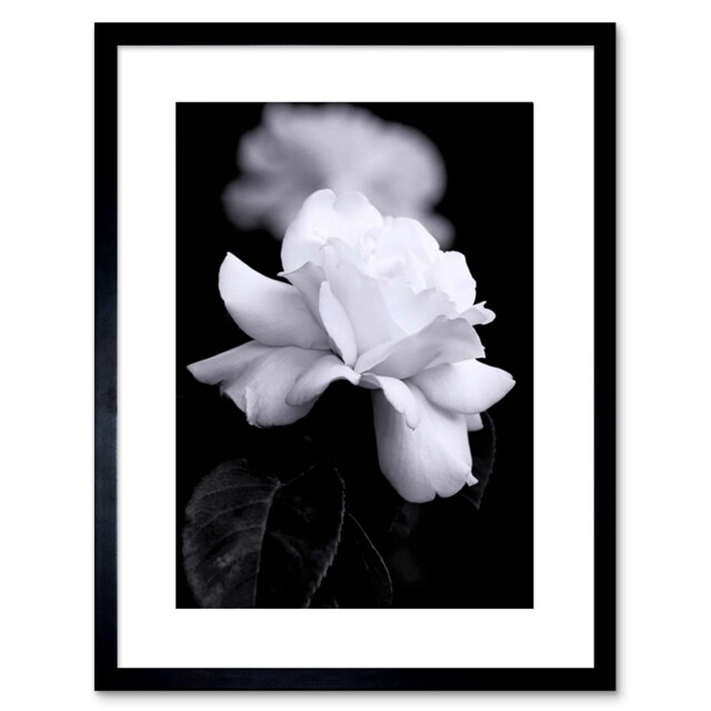 "Photo Nature Black White Rose Petal Flower 9x7"" Black Framed Wall Art ...