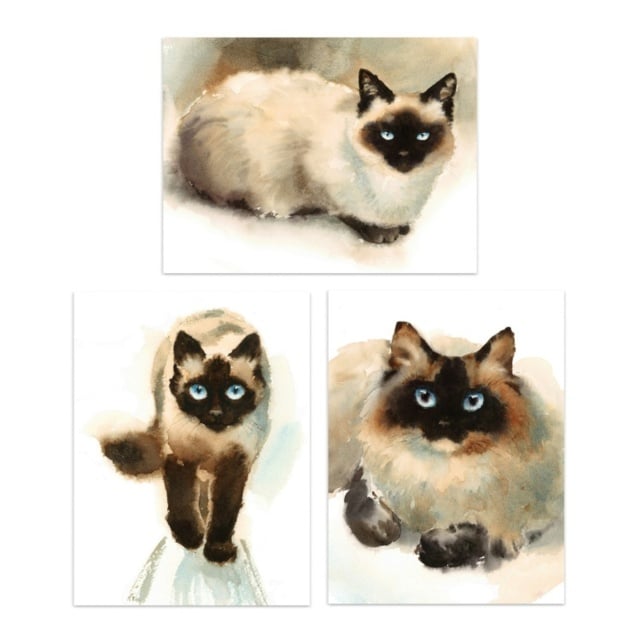 Set Of 3 Blue Eyed Ragdoll Cats Lover Watercolour Pet Paintings Wall ...