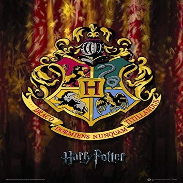 Lx - Harry Potter (Hogwarts Crest) - Harry Potter by Tesco ...