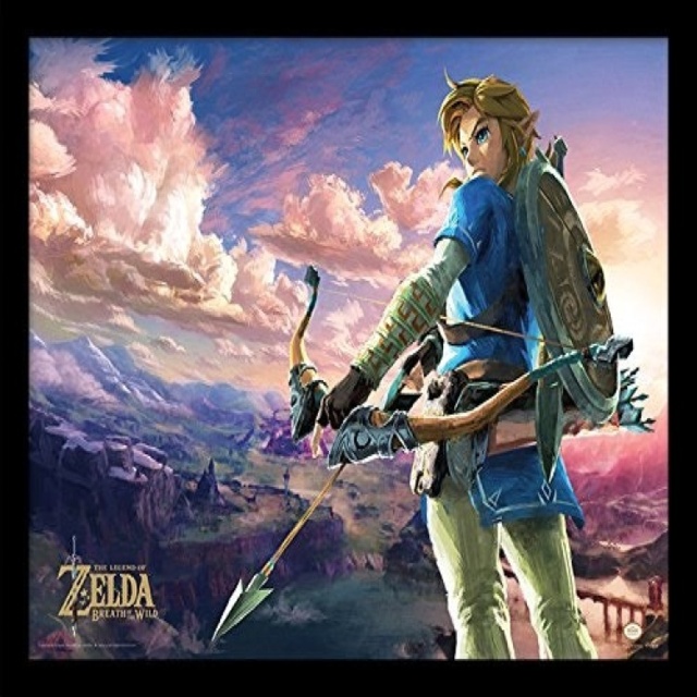 Zelda Breath Of The Wild (Hyrule Scene Landscape) - Memorabilia Range ...