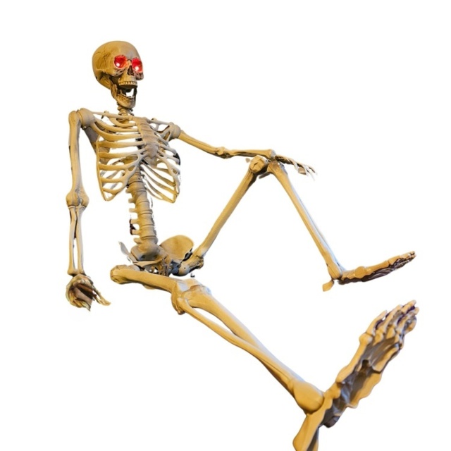 5Ft (150Cm) Posable Full Body Halloween Led Skeleton Decoration With ...