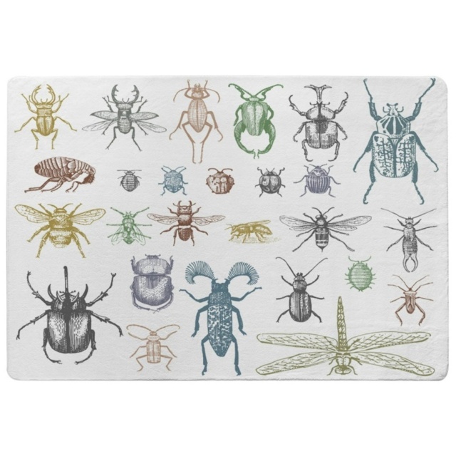 Big Set Of Insects Bugs Beetles And Bees Many Species In Vintage Old ...