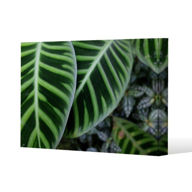 Yellow Structure In Exotic Jungle Setting (Canvas Print) 31 X 41 X 4Cm ...