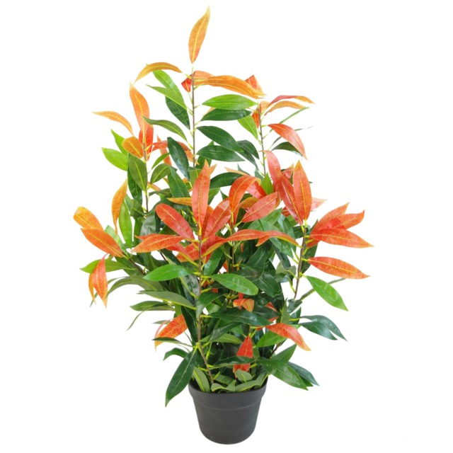 80cm Artificial Red and Green Ficus Plant by Tesco - Marketplace ...