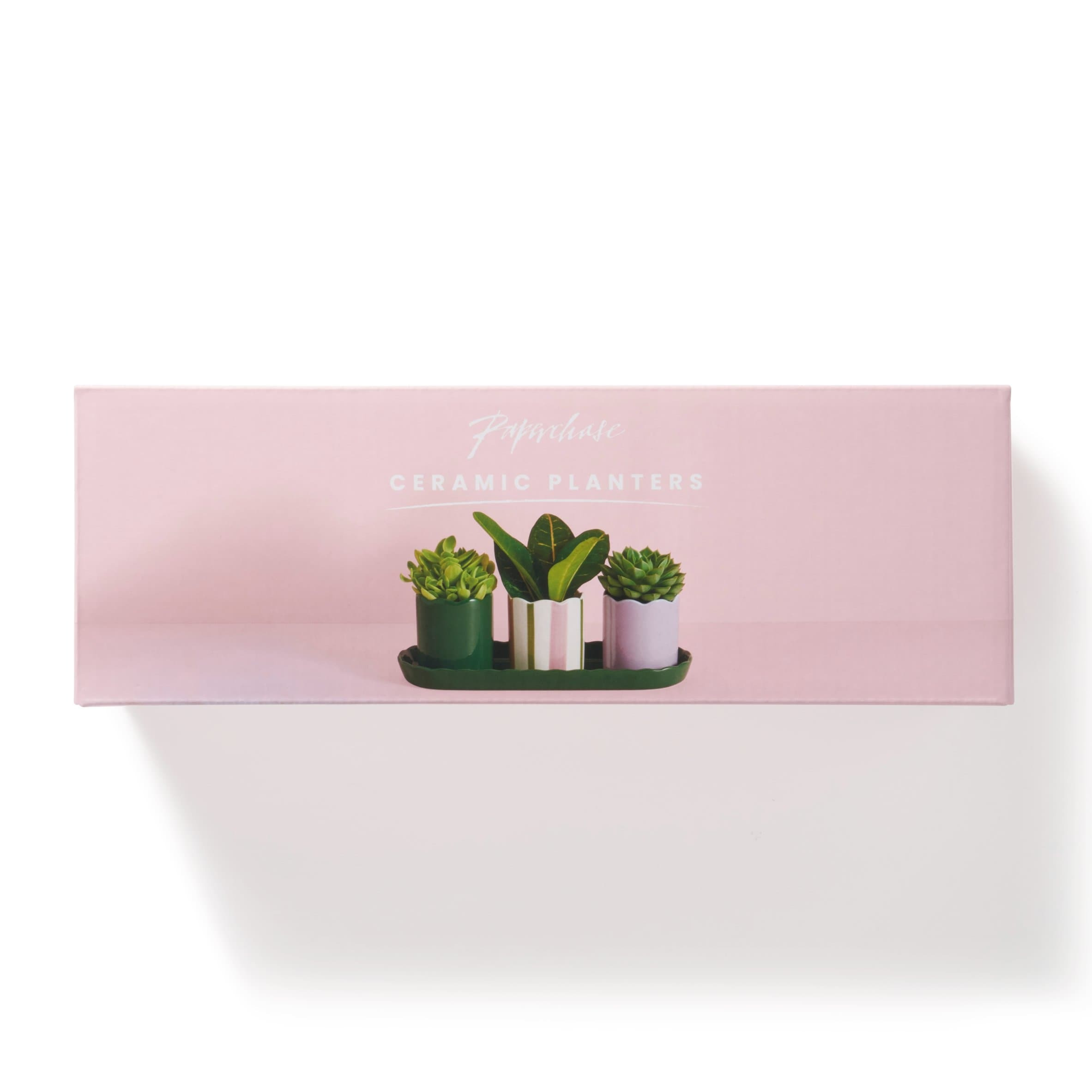 Paperchase Ceramic Desk Planters by Tesco | ufurnish.com