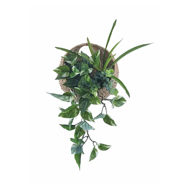 Bayswood Foliage in Basket by Tesco | ufurnish.com