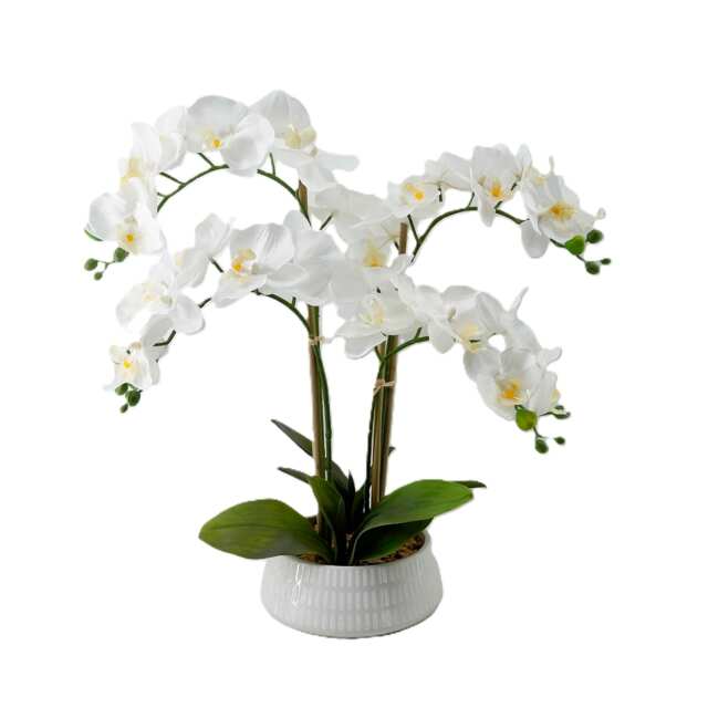 Bayswood Artificial Orchid Floral Arrangement by Tesco | uFurnish.com