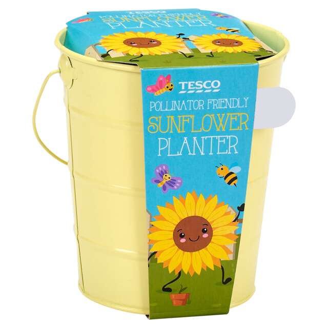 Tesco Sunflower Planter by Tesco | ufurnish.com