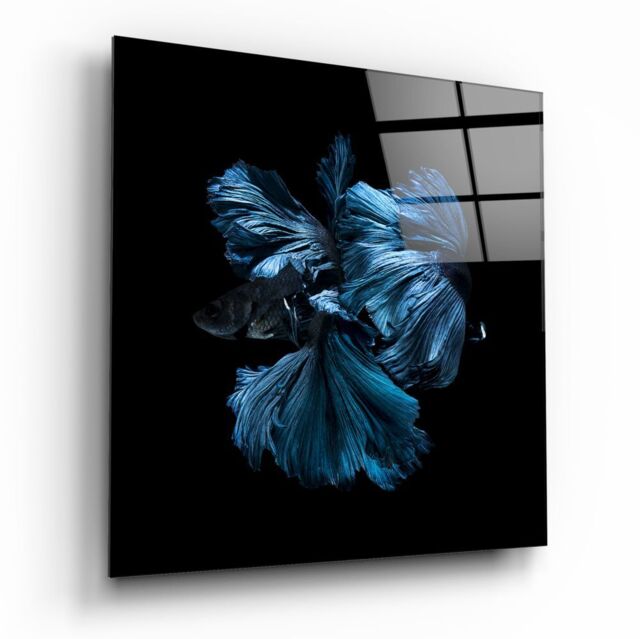 Betta Fish Glass Wall Art - - That Home Shop by That Home Shop ...