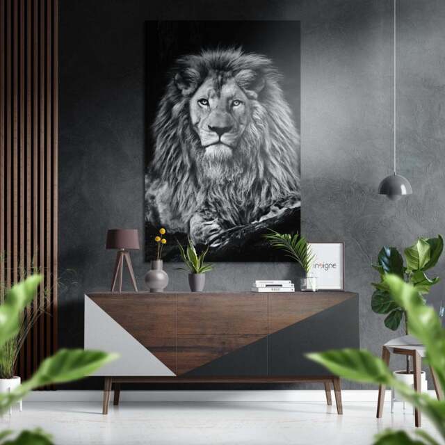 Lion Brushed Aluminium Dibond Wall Art - - That Home Shop by That Home ...