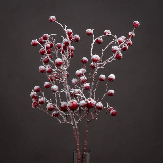 Large Red Festive Berry - - That Home Shop by That Home Shop | ufurnish.com