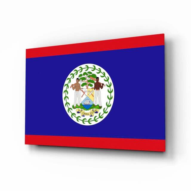 Flag of Belize Glass Wall Art - - That Home Shop by That Home Shop ...