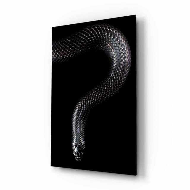 Snake Glass Wall Art - - That Home Shop by That Home Shop | ufurnish.com
