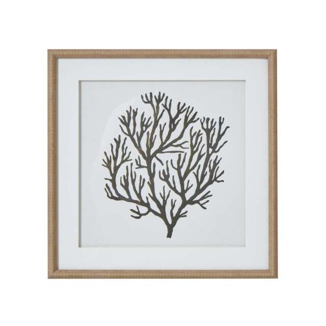 Atol Coral Art Mounted In Beaded Frame - Brown - That Home Shop by That ...