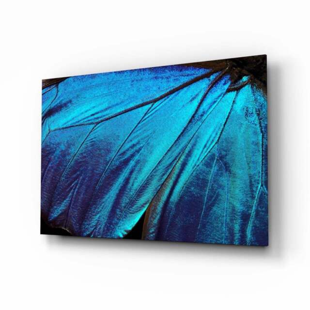 Butterfly Wing Glass Wall Art - - That Home Shop by That Home Shop ...