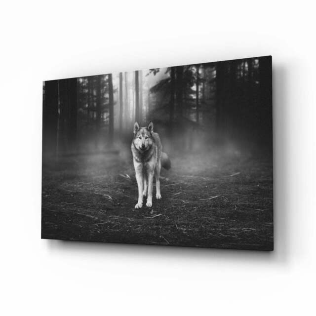 Wolf Glass Wall Art - - That Home Shop by That Home Shop | ufurnish.com