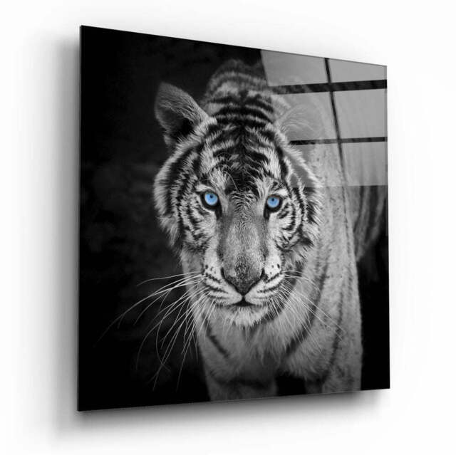 Tiger Glass Wall Art - - That Home Shop by That Home Shop | ufurnish.com
